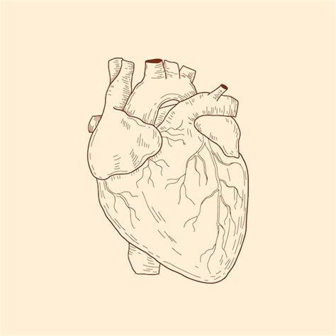 Free Vector 手繪心臟圖案的插圖