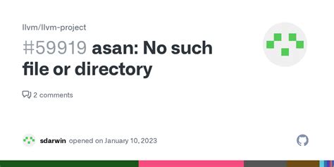 Asan No Such File Or Directory · Issue 59919 · Llvmllvm Project · Github
