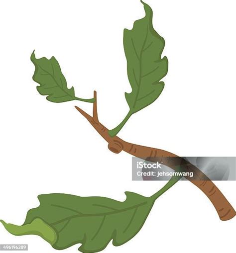 녹색 Leafs 갈색에 대한 스톡 벡터 아트 및 기타 이미지 갈색 고요한 장면 나무 Istock