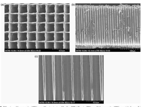 Figure 1 From 3d Ordered Nio Silicon Mcp Array Electrode Materials For
