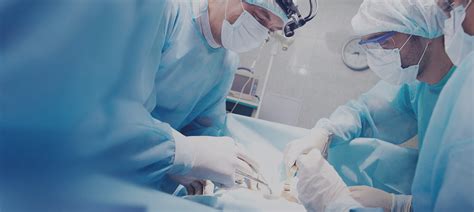 半月板常見問題 撕裂、修復及移植 膝部 醫生文章 亞洲專科醫生