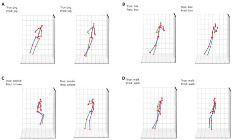 Human Pose Classification Based On Pose Long Short Term Memory