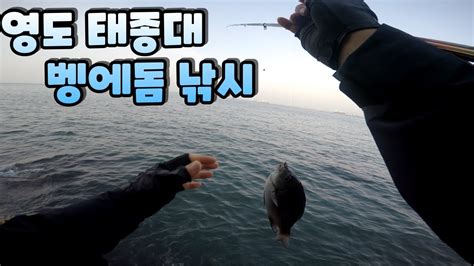 영도 태종대 벵에돔 낚시 다녀왔습니다with 장비만프로조사 김감독영도 태종대벵에돔낚시 Youtube