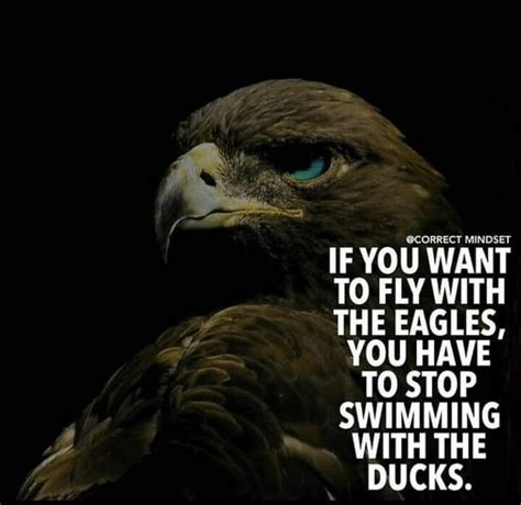 Jaseem Ahmed Shah Posted On Linkedin