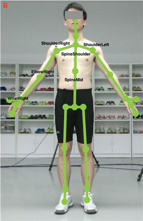the upper limb models for the vicon system and the kinect v2 system