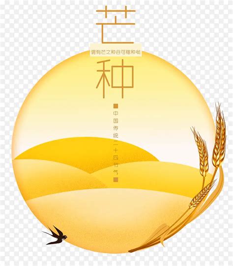黄色创意芒种二十四节气png图片素材下载图片编号ygobkmky 免抠素材网