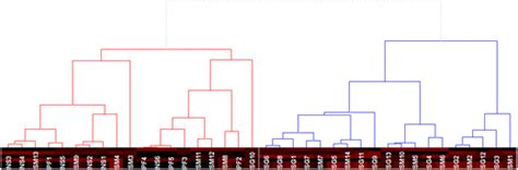 Clustering Pattern Of The Data Set After The Addition Of The Marketed