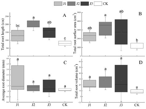 The Root Growth Parameters Of R Pseudoacacia Measured With Winrhizo Download Scientific