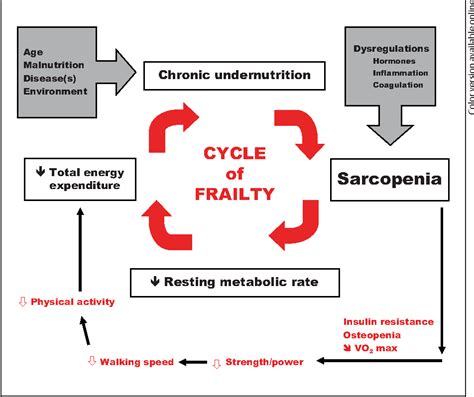 Frailty In Older Adults