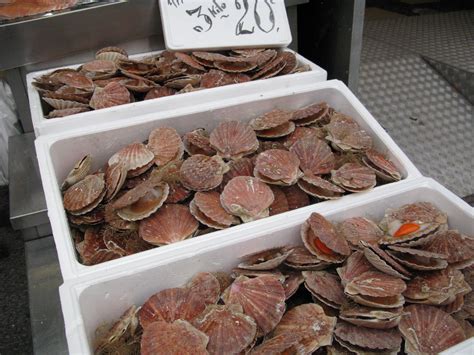 Apretzeladay Travels And Encounters In Europe