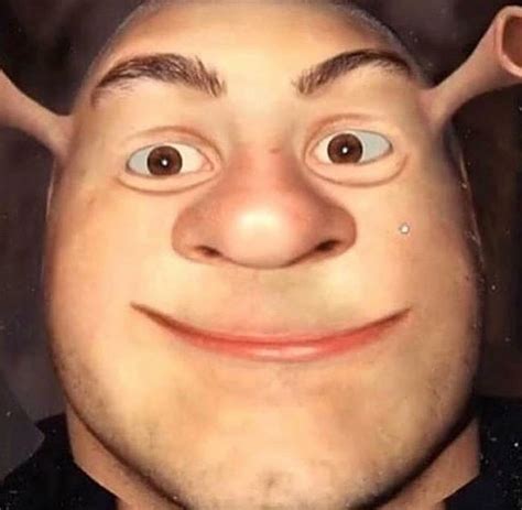 This Is Shrek But With Human Skin Tone Look Familiar Rfantanoforever