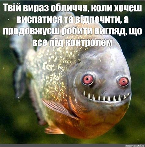 Meme Твій вираз обличчя коли хочеш виспатися та відпочити а