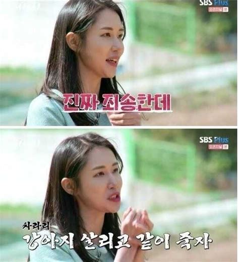 짤zip 나는솔로 나와서 강아지들이 진짜 중요하다고 말한 누나 근황 ㄷㄷ 