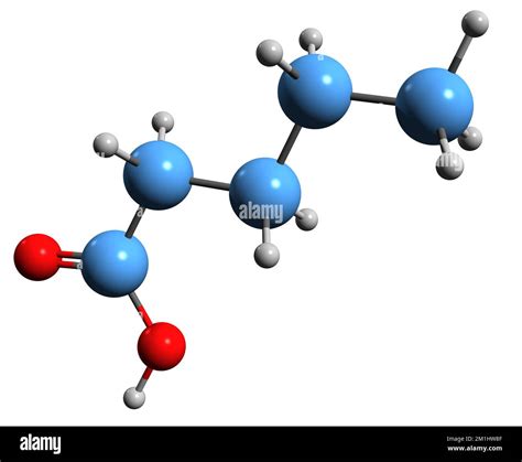 3d Image Of Valeric Acid Skeletal Formula Molecular Chemical Structure Of Propylacetic Acid