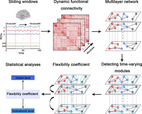 Sex Differences In The Flexibility Of Dynamic Network Reconfiguration