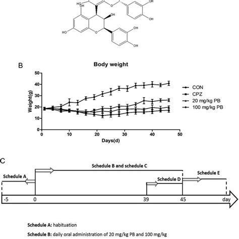 A Chemical Structure Of Procyanidin B2 B Body Weight N 12 In Download Scientific
