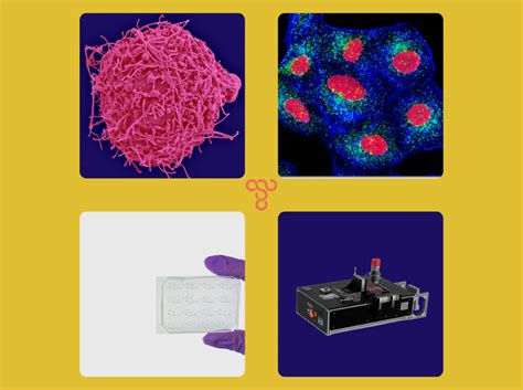 Triplebar Funding Biomanufacturing Platform Precision Fermentation