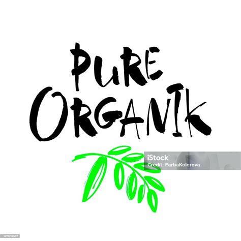 순수한 오르가닉 레스토랑 카페 메뉴 라벨 로고 배지 스티커 또는 아이콘에 대한 필기 글자 서예 및 타이포그래피 벡터 일러스트레이션 0명에 대한 스톡 벡터 아트 및 기타