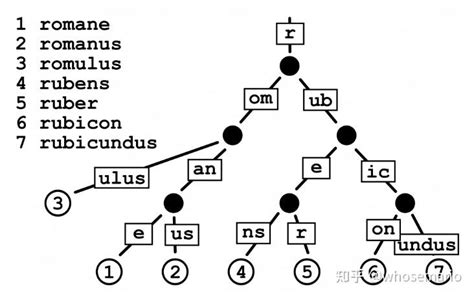 【数据结构】jemalloc中的radix Tree 知乎