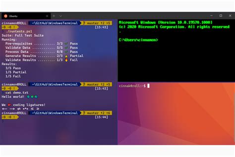 Windows 终端完整介绍