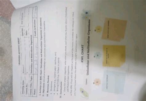 Learatse Actvity Steter Objectives Herall Studyx