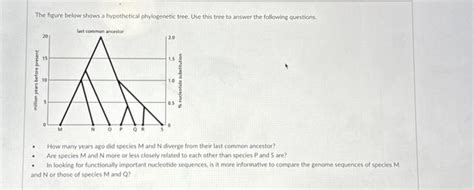 Solved The Figure Below Shows A Hypothetical Phylogenetic Chegg