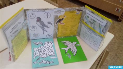 Лэпбук «Перелетные птицы» (11 фото). Воспитателям детских садов ...