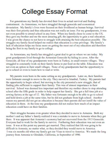 20 Collage Essay Examples To Download