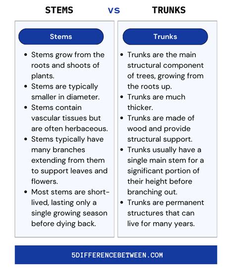 Difference Between Stems And Trunks Stems Vs Trunks