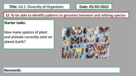 Ib Biology A31 Diversity Of Organisms First Exams In 2025