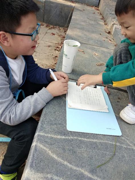 我教兒子學作文 我們都可以現學現用的親子寫作方法 每日頭條