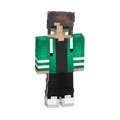 Dih Minecraft Skin