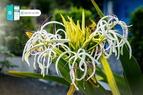 Polyp cổ tử cung là gì 9 lưu ý quan trọng cần lưu ngay