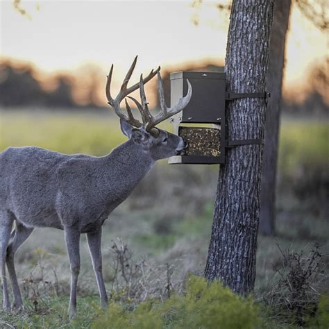 Ez Deer Block Feeder Holder Protein Block Feeder All Seasons Feeders
