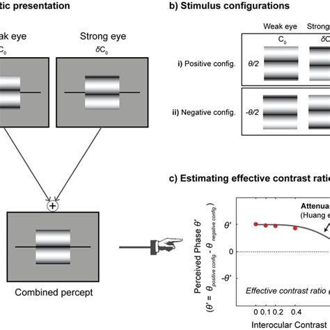 Mean Effective Contrast Ratios For The Four Subject Groups Mean