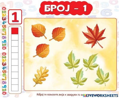 Бројот 1 Во соработка со Росица 2241077 Biljana