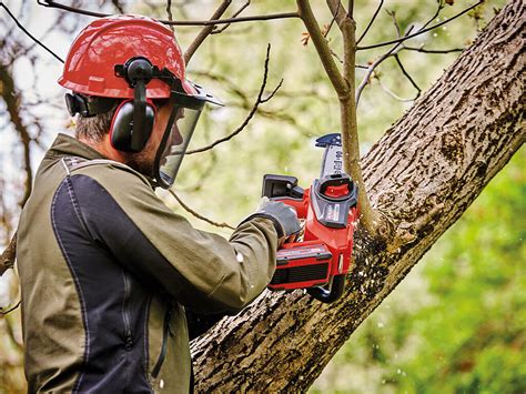 Comparison Of Cordless And Single Handed Chainsaws Einhell Blog