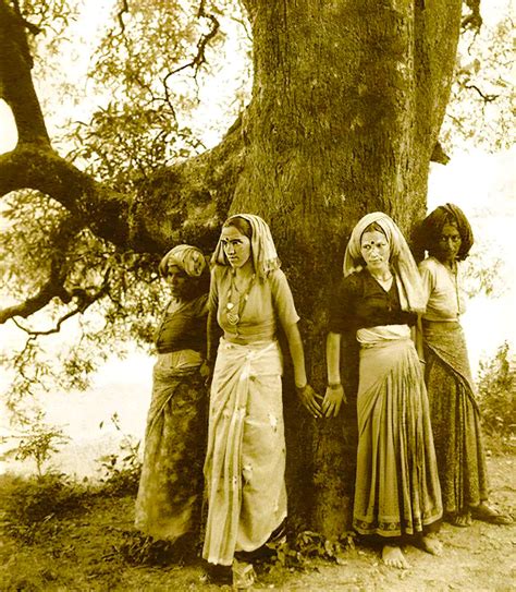50 Years Of Chipko Movement Tree Hugging Movement Pwonlyias