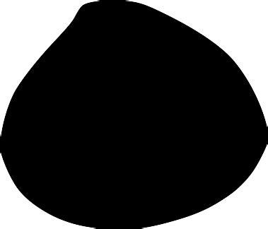 Nucula Nucleus By Katie S Collins CC BY 3 0 PhyloPic