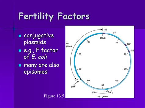 PPT Recombination And Genetic Engineering PowerPoint Presentation