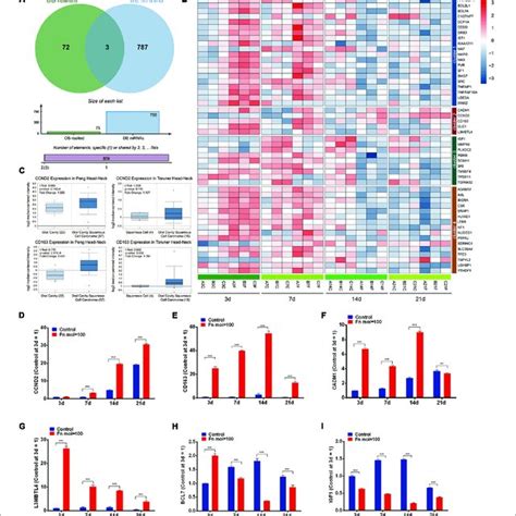 Short Time Series Expression Miner Stem Analysis Of The Gmscs A Download Scientific