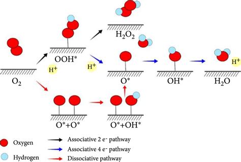 Reduction Reaction Mechanism
