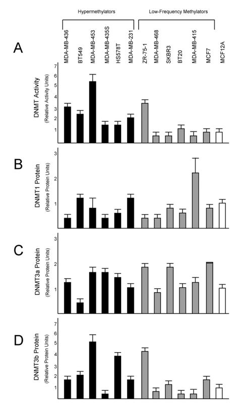 Analysis Of Dna Methyltransferase Enzymes Among Putative Download