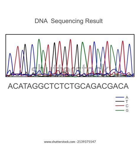 Nucleotide Sequences Images Stock Photos Vectors Shutterstock