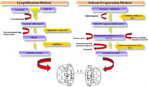 Schematic Representation Of Complexation Of Cmn And Hp β Cd Drug Download Scientific