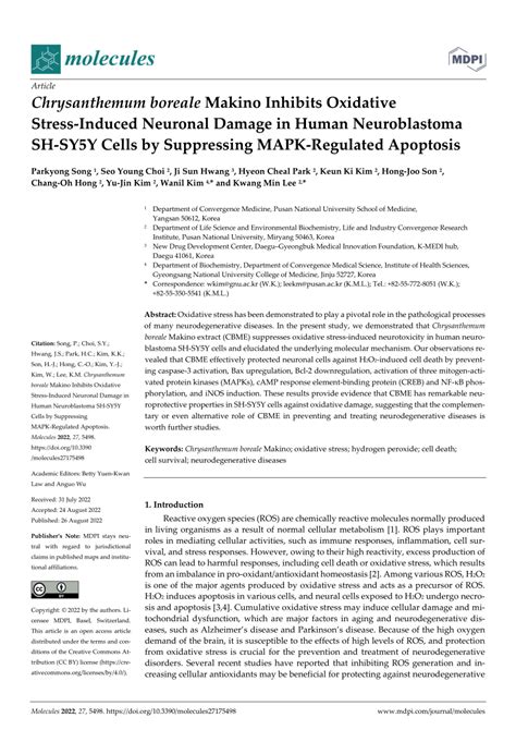Pdf Chrysanthemum Boreale Makino Inhibits Oxidative Stress Induced
