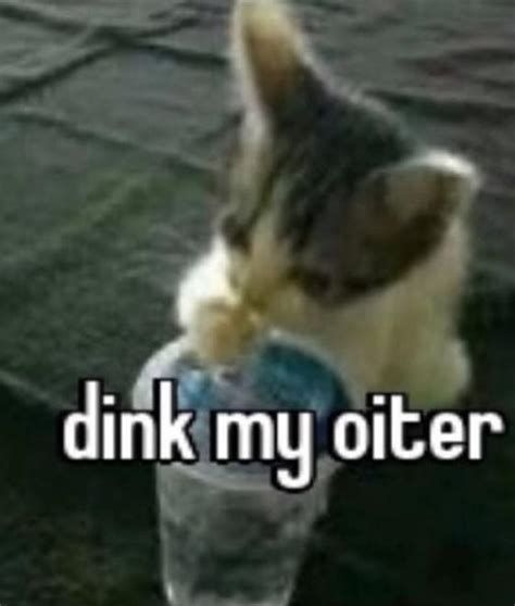 Dink My Oiter Know Your Meme
