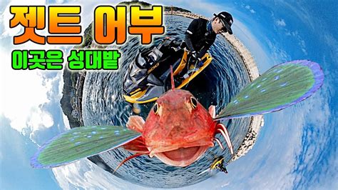 젯트어부 기괴하게 생긴 물고기 성대 Feat 제트스키로 낚시하기 Youtube