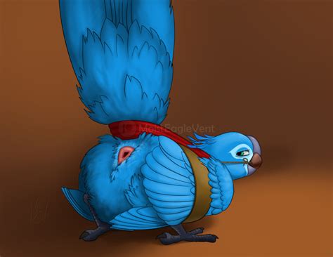 Rule 34 Anatomically Correct Anatomically Correct Cloaca Anatomically