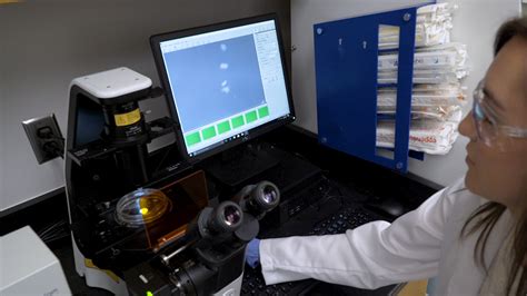 Video Examining The Dynamics Of Cellular Adhesion And Spreading Of Epithelial Cells On